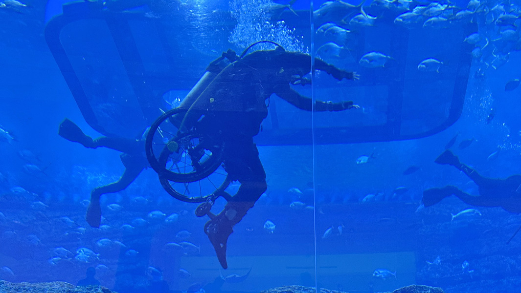 لحظة تاريخية: سباح عربي يغوص بالكرسي المتحرك أمام آلاف المشاهدين في دبي ...