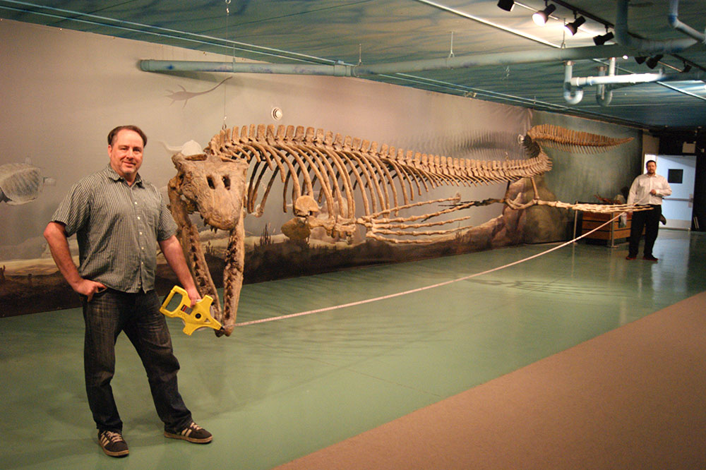 Largest mosasaur on display | غينيس للأرقام القياسية